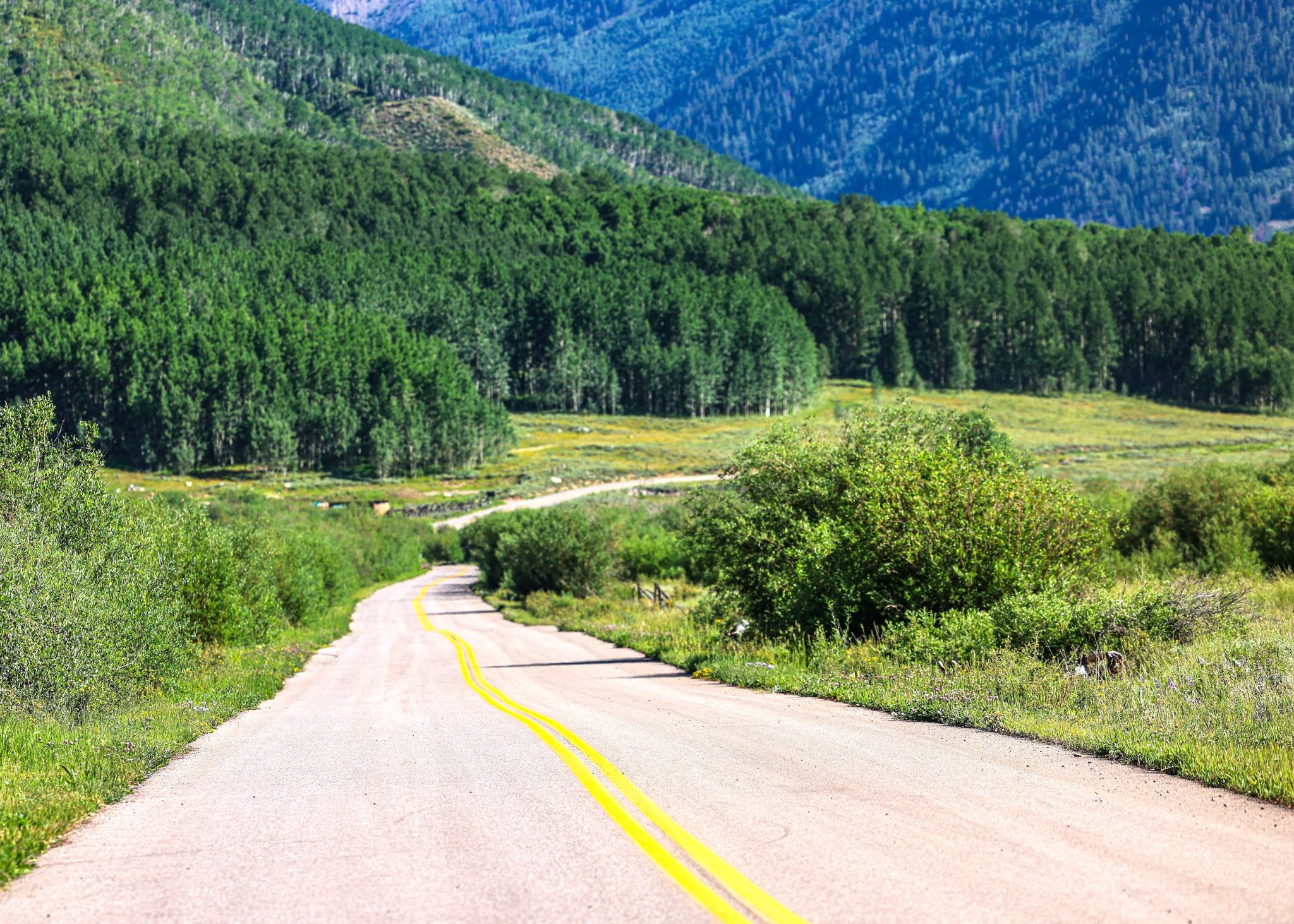 Details released surrounding Aspen’s Castle Creek Road bike death ...
