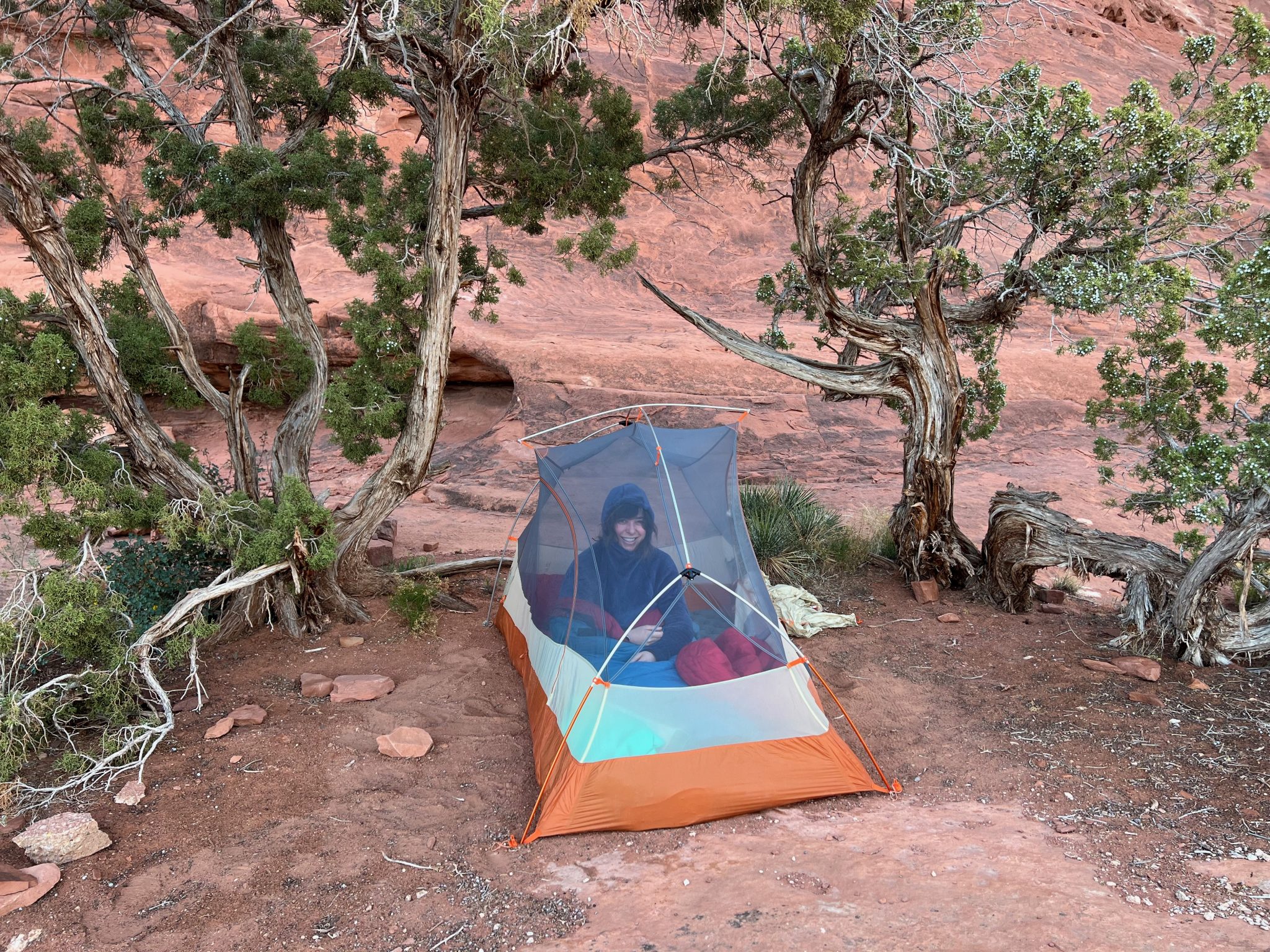 Campsite crunching and munching | AspenTimes.com