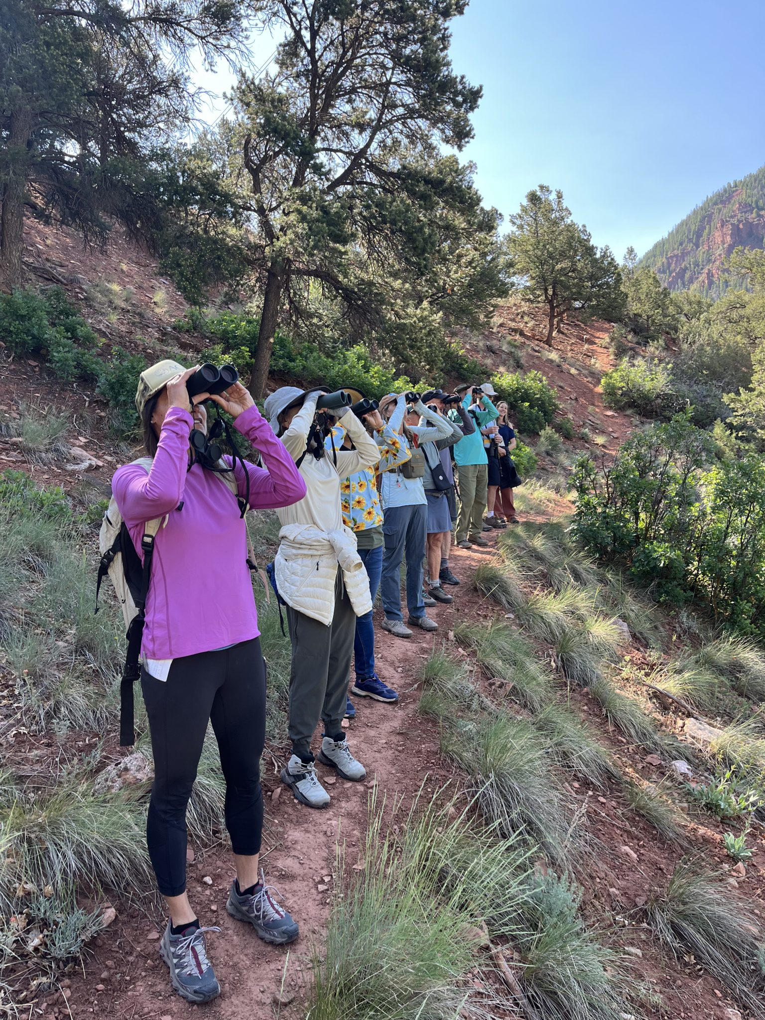 ‘It’s always like a treasure hunt’: Birding programs at ACES highlight ...