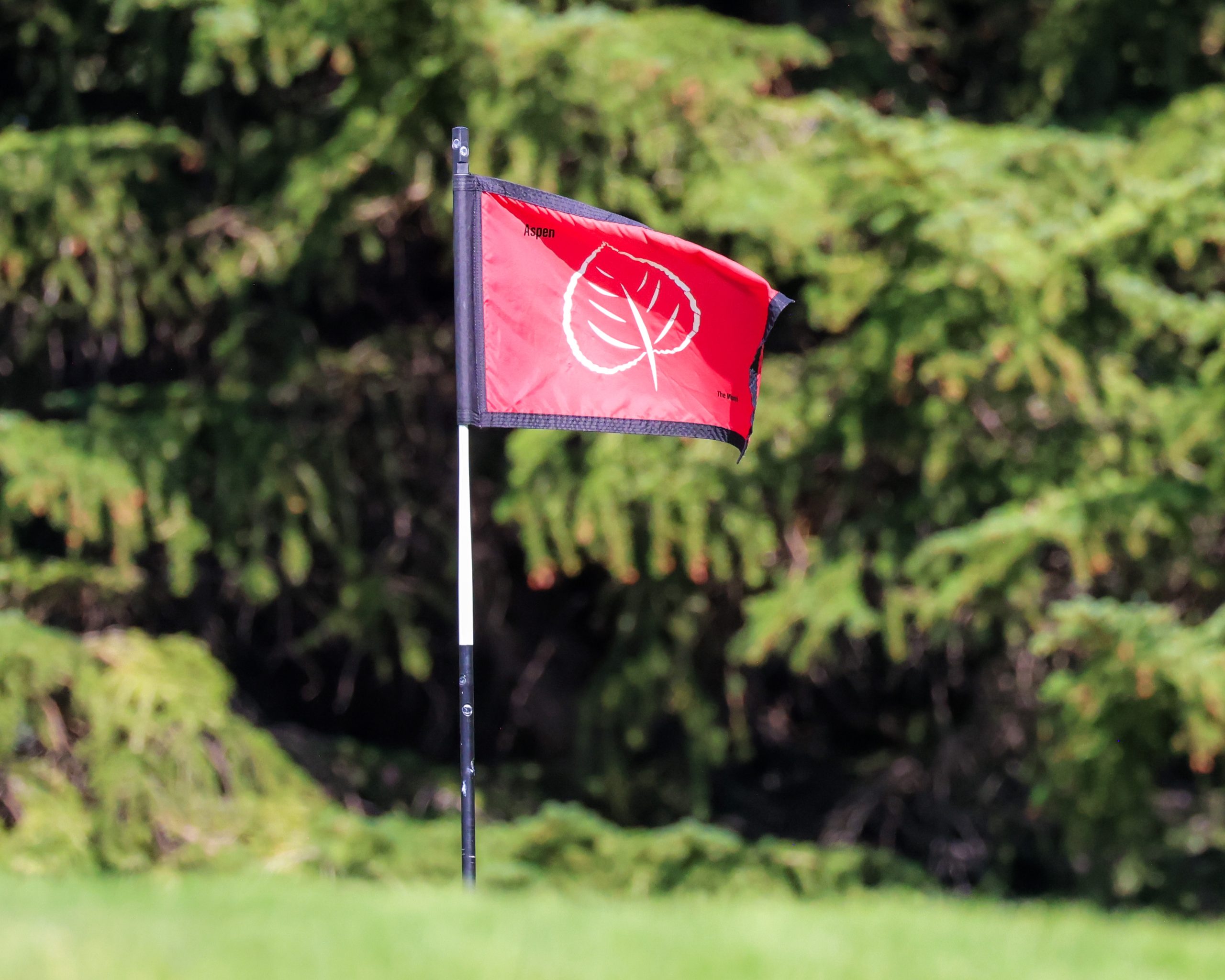 Local golf results: Aspen men’s and women’s associations from June 17 ...