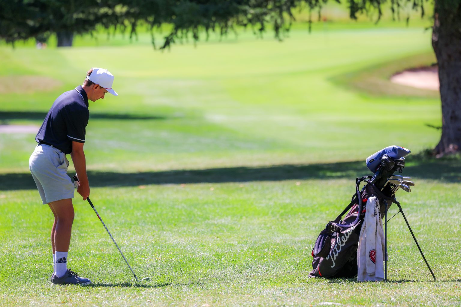 Aspen Golf passes go on sale | AspenTimes.com