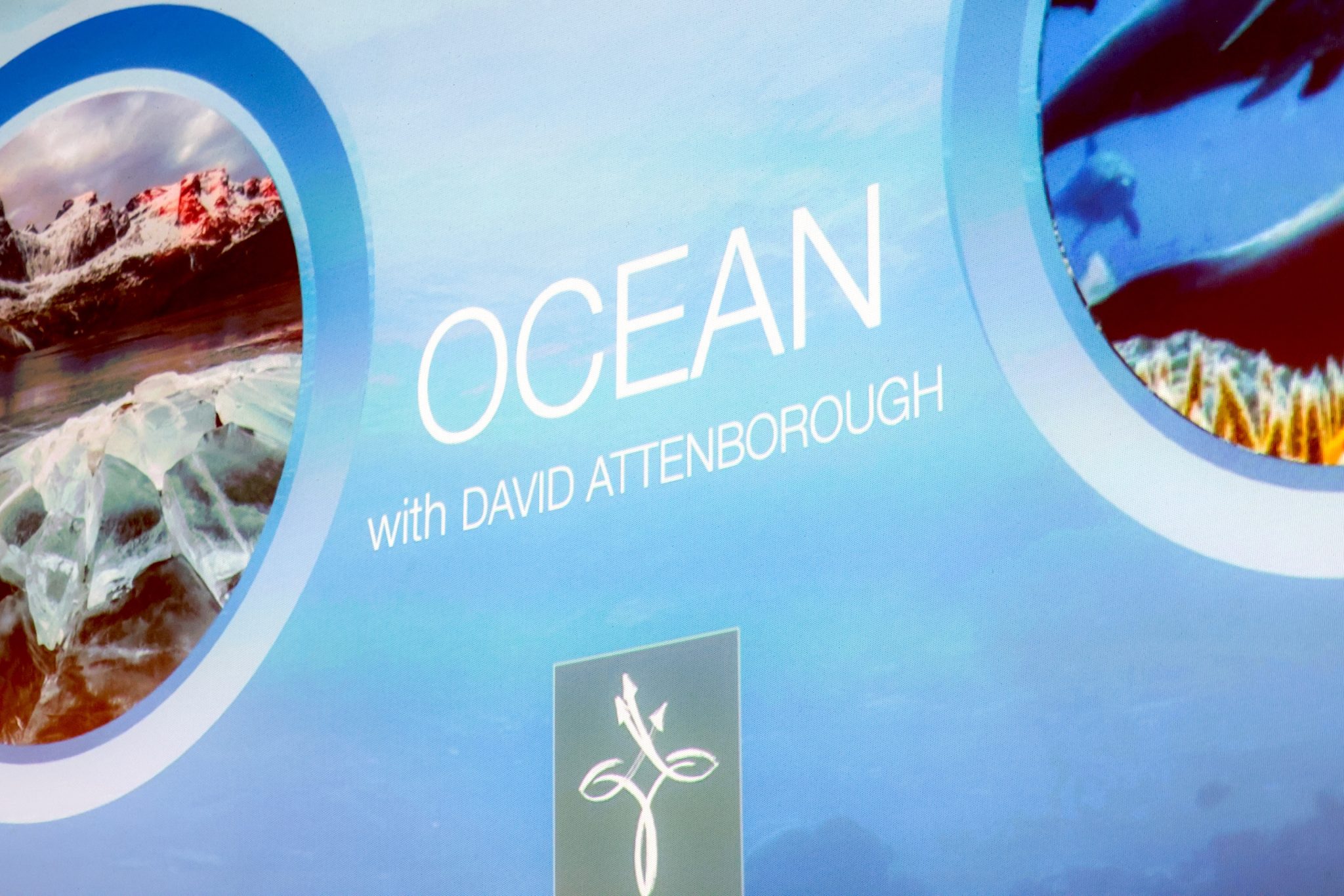 PHOTOS: Aspen Film screens ‘Ocean with David Attenborough’ alongside ...