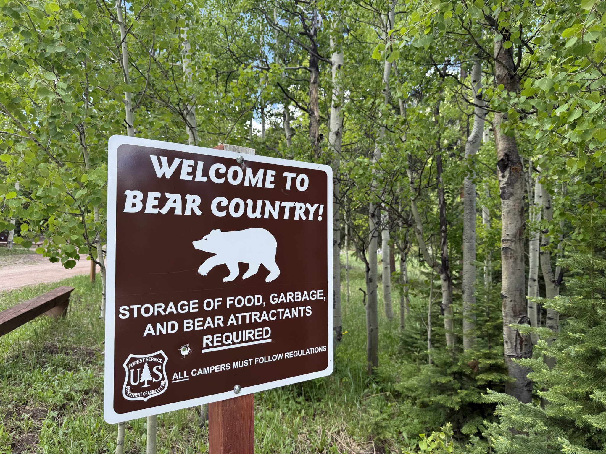 How to prevent conflict with hungry bears as they pack on the calories ...