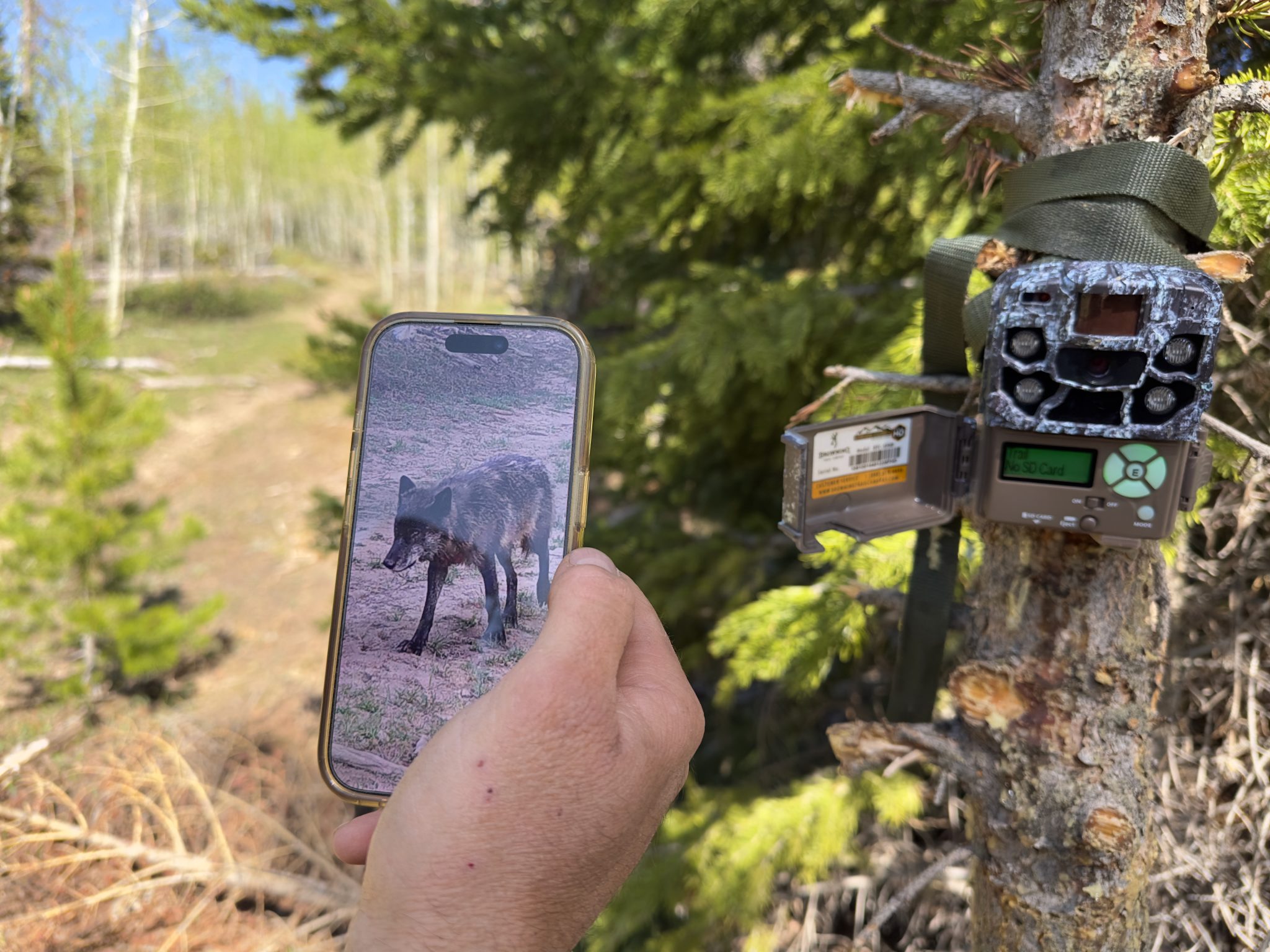 How a Grand County resident is using collaboration, AI and new tech to ...