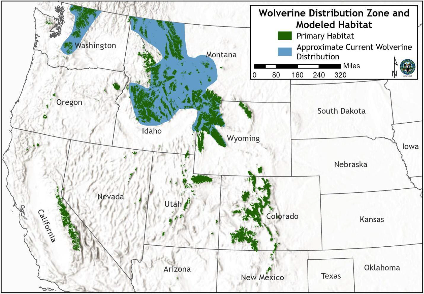 Colorado’s historic wolverine restoration starts soon: Here’s what plan ...
