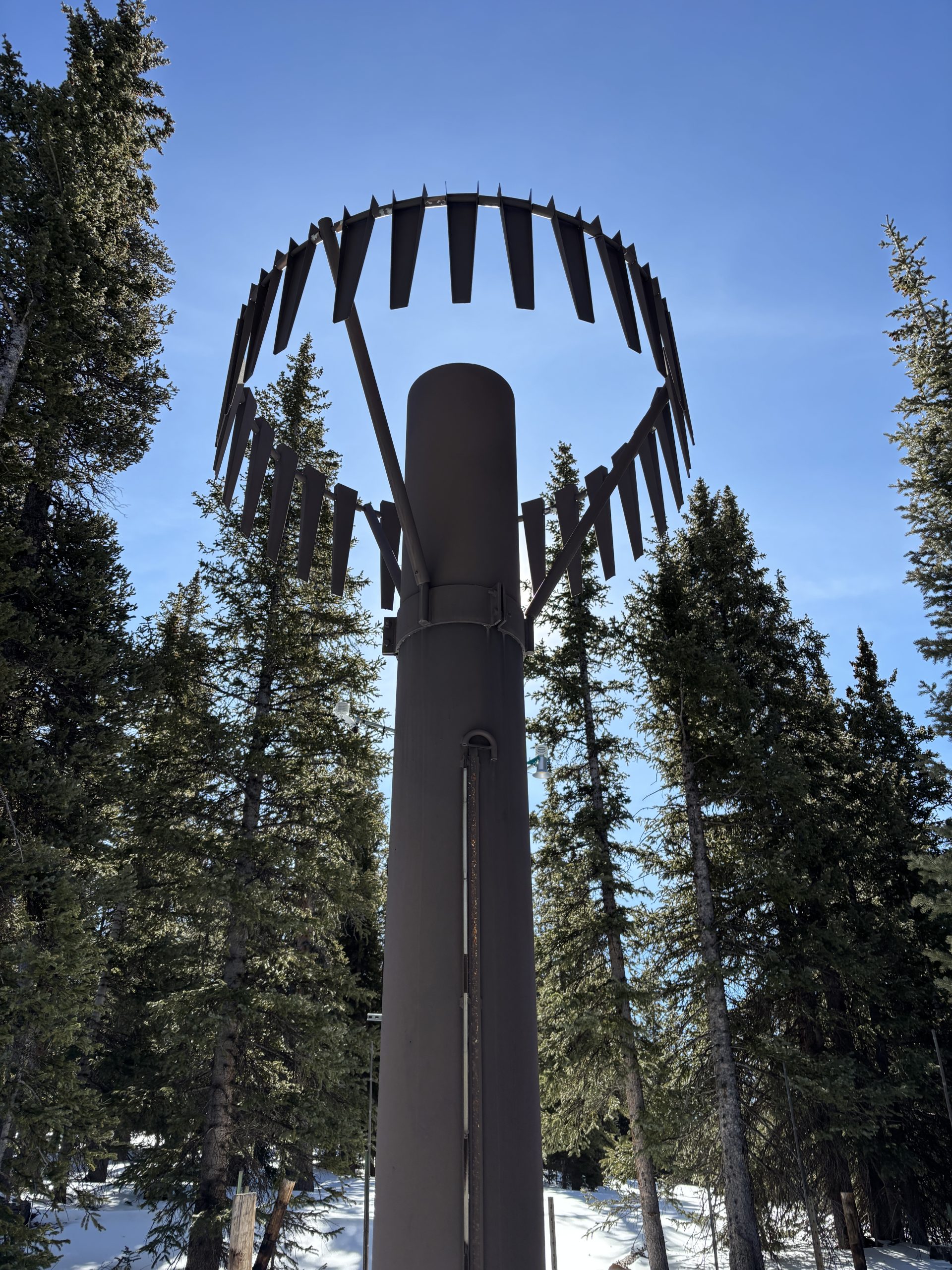 Hidden in high-elevation trees, Colorado’s SNOTEL stations collect ...