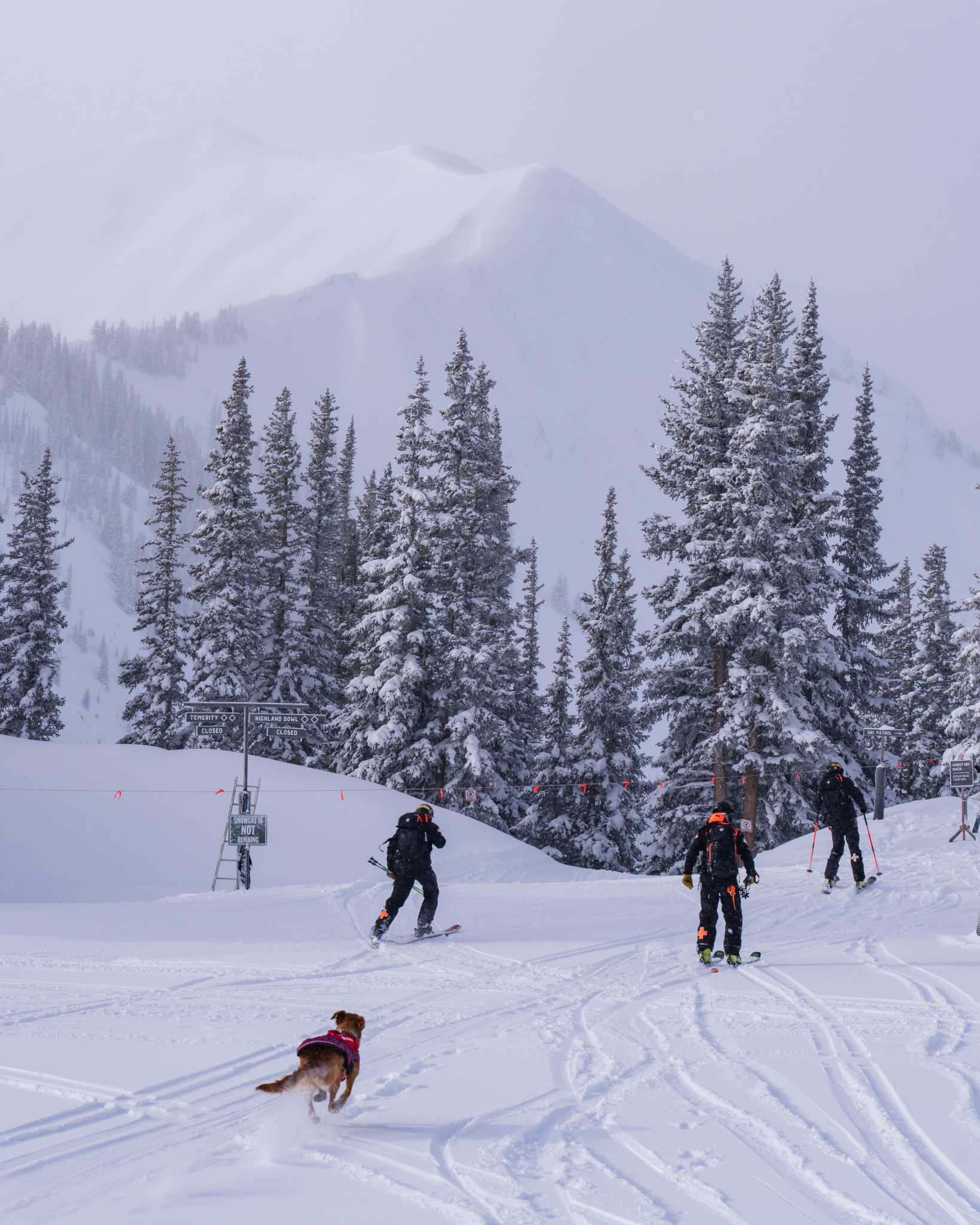 Aspen Snowmass celebrates season’s highest seven-day total | AspenTimes.com