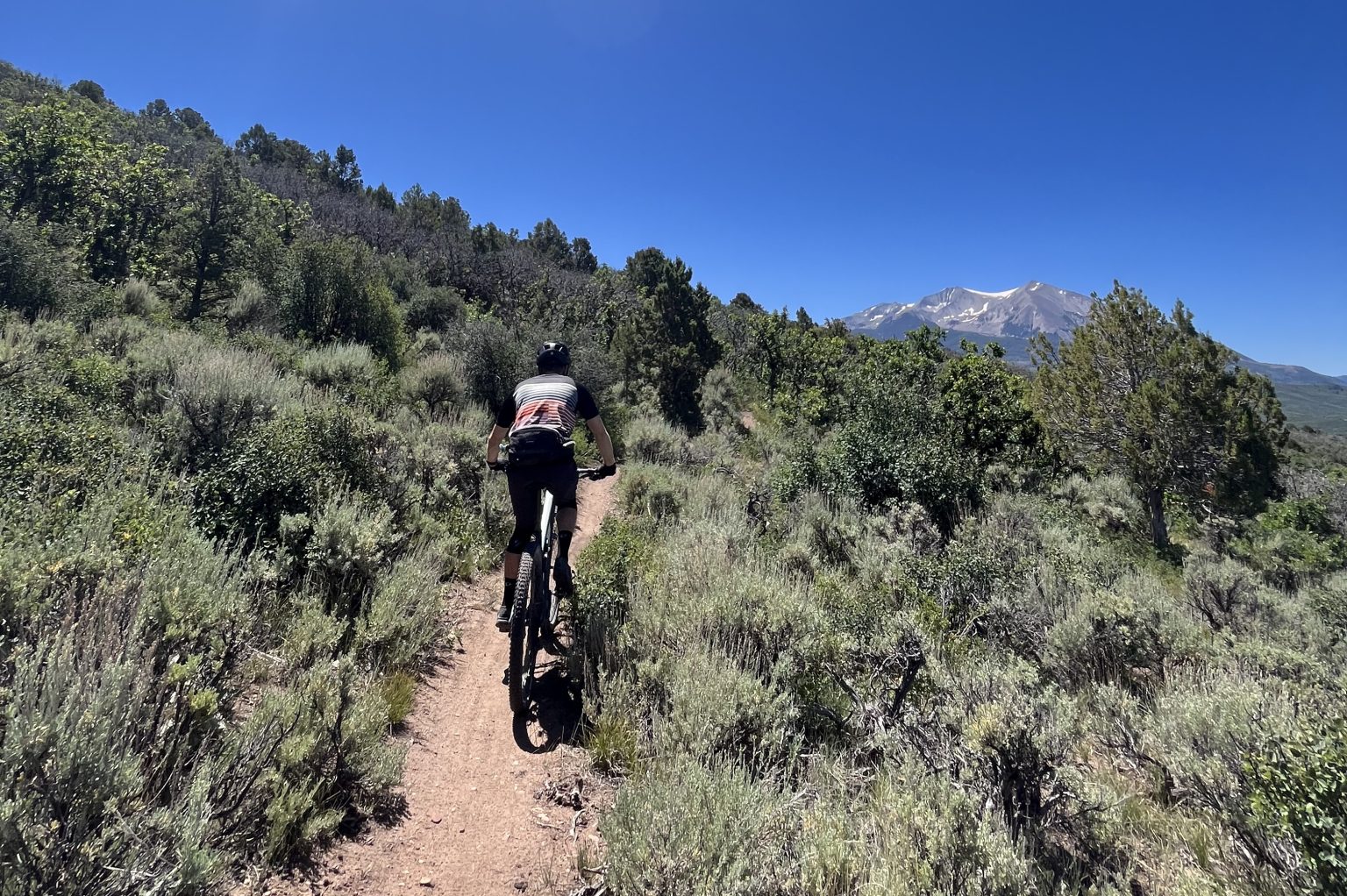BLM to consider allowing e-bikes on mountain bike trails in Roaring ...