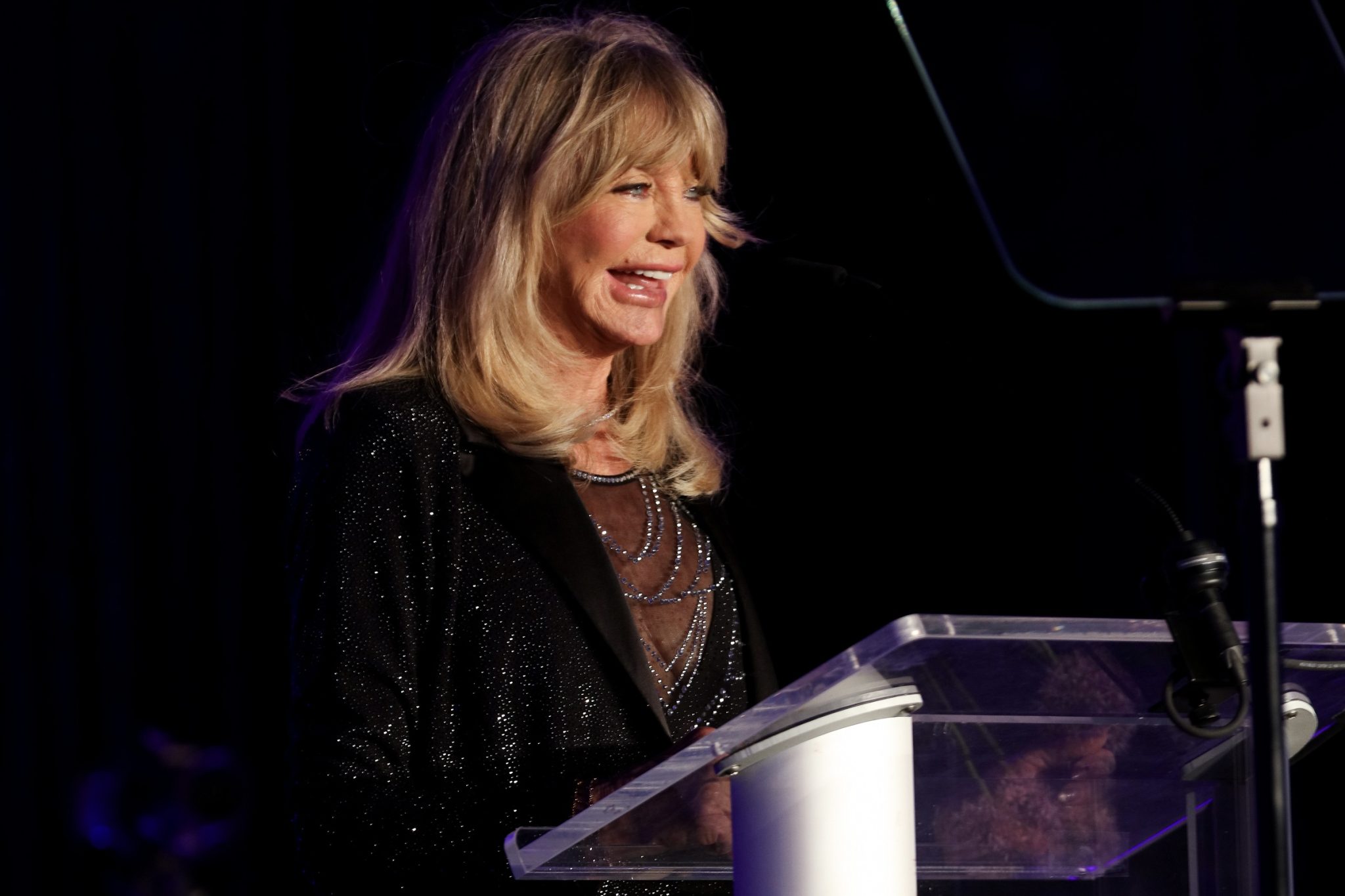 Inside the Aspen Snow Ball Gala: Goldie Hawn, Chelsea Handler, Wilson ...