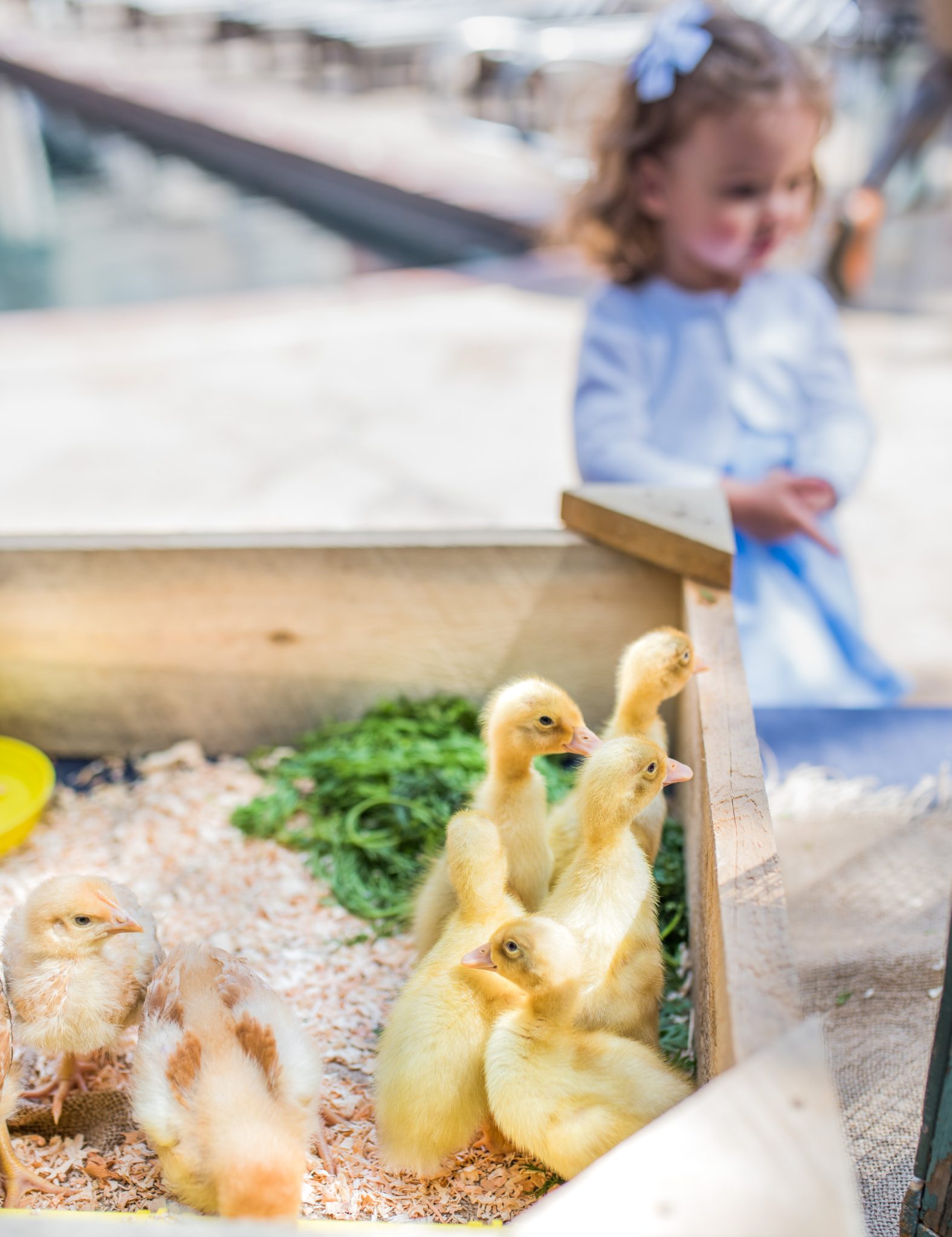Aspen Easter celebration spotlight, April 4-5 | AspenTimes.com