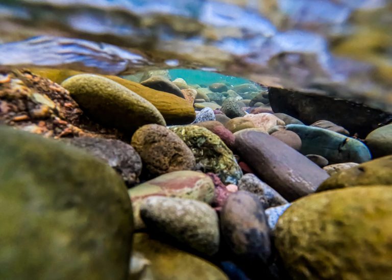 Historic intergovernmental agreement to protect the Crystal River ...