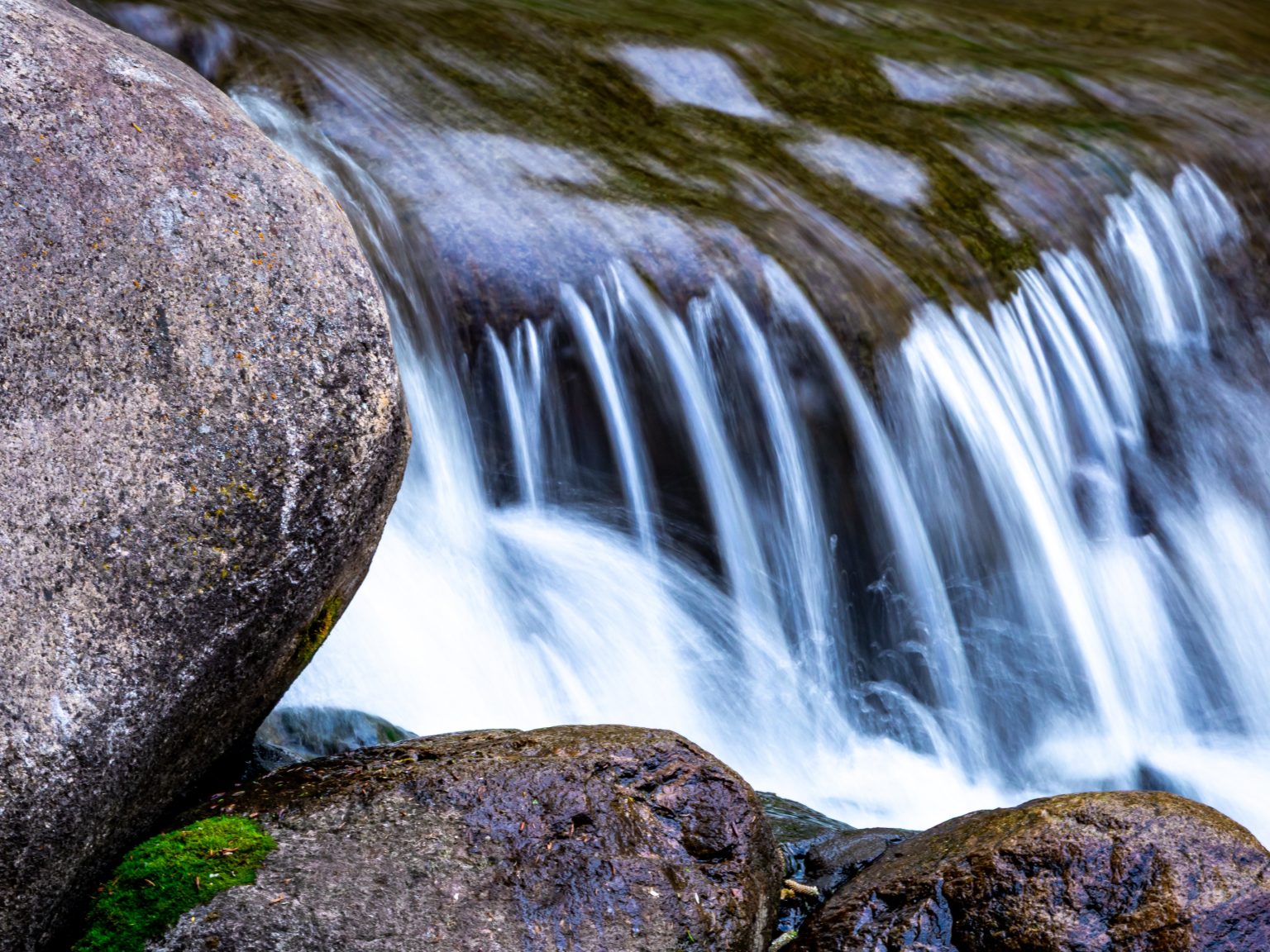 Aspen provides free watering assessment to reduce water use ...