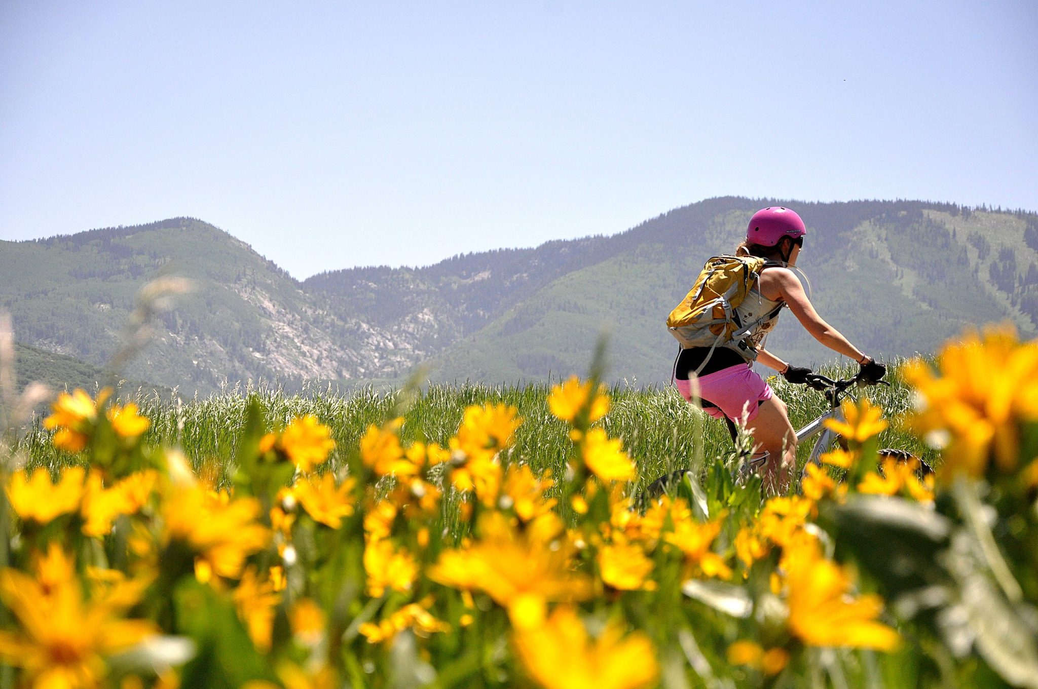 Nationwide vacation rental brand launches in Steamboat Springs ...