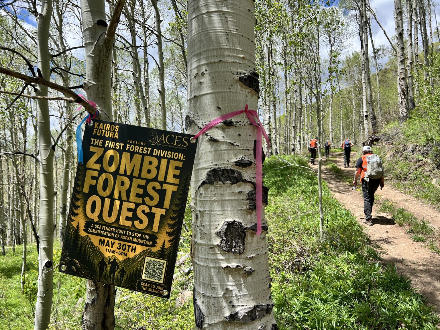 Branham: Zombie Forest Quest — can we save the trees? | AspenTimes.com