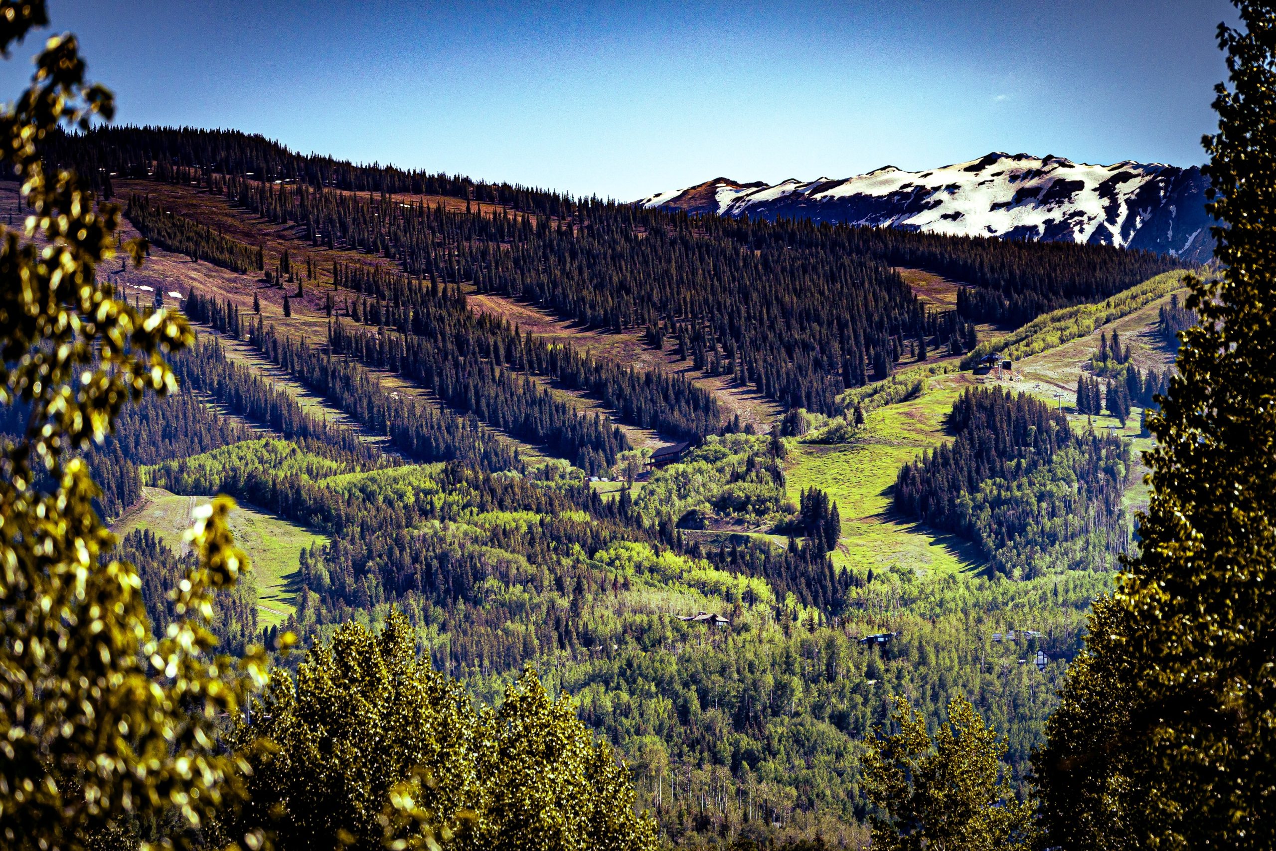 Snowmass Village discusses sustainability projects with new coordinator ...