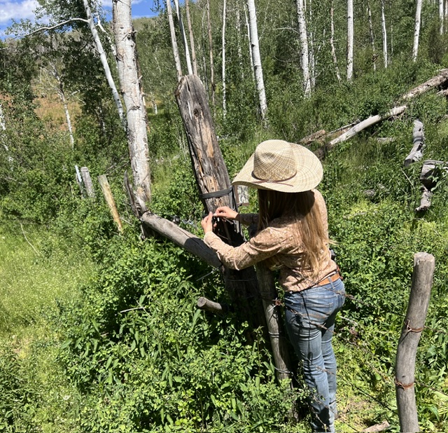 The calm in the storm’: Mesa County range rider fills gap outside of ...