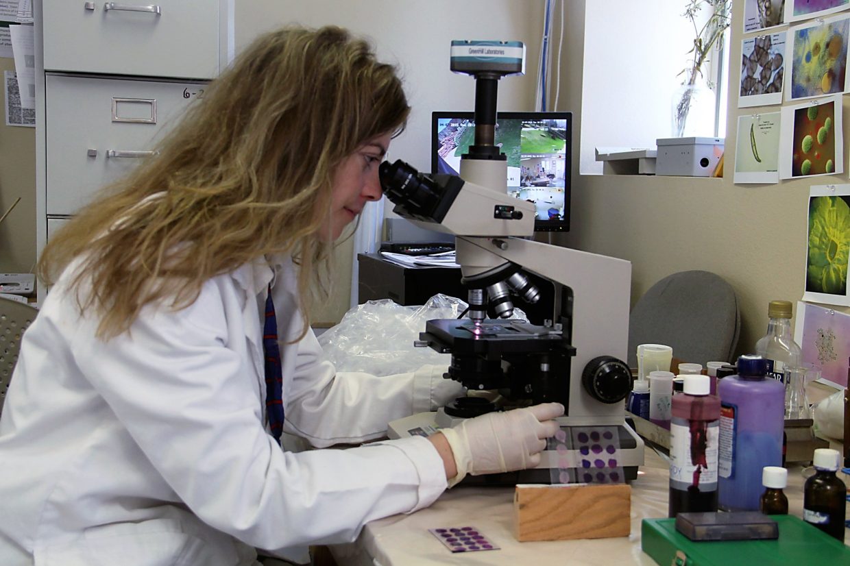 Carbondale lab blazing a trail in pot testing | PostIndependent.com