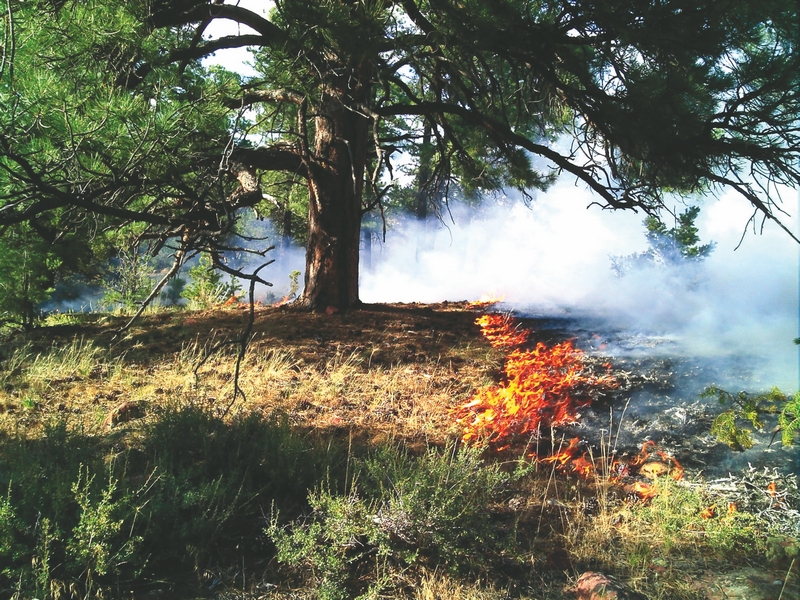 Sawmill fire now at 76 acres | PostIndependent.com