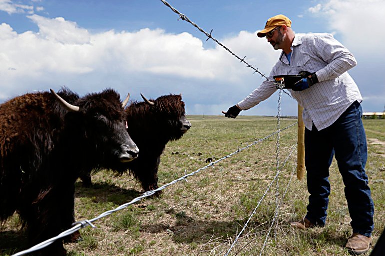 Can meat production keep up with population? | PostIndependent.com