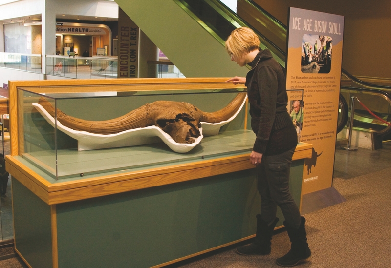 Ziegler fossils featured in February issue of Nat Geo | PostIndependent.com