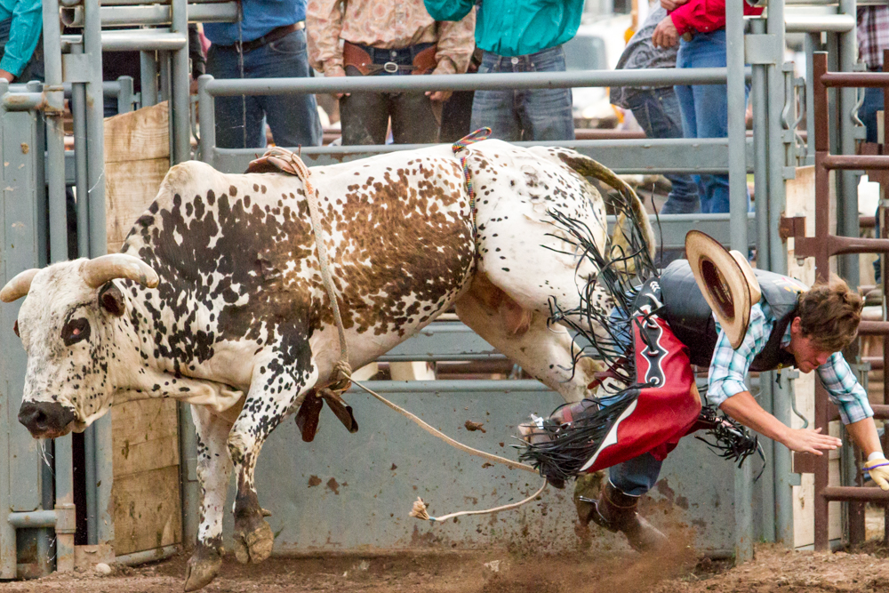 Selfies: Carbondale’s Wild West Rodeo in full swing | PostIndependent.com