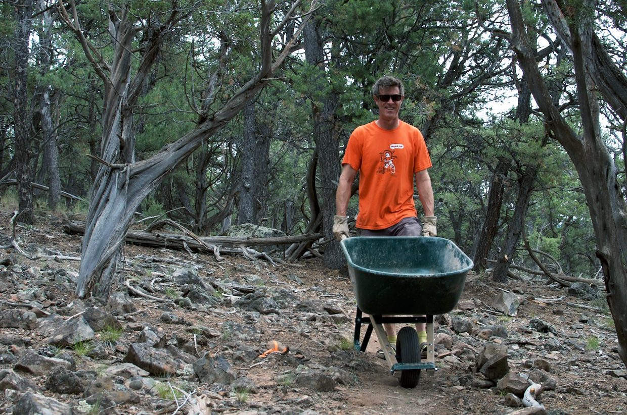 Group of cyclists building tiny, off-grid house in the woods ...