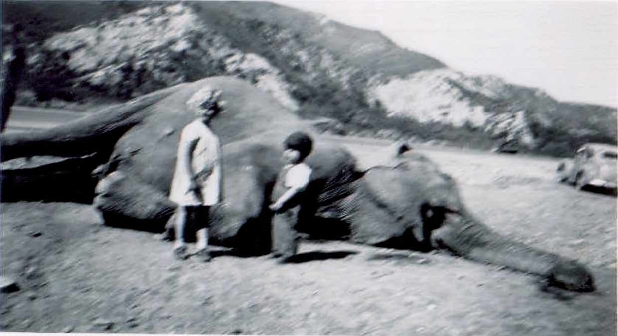 63 years later, Rifle residents recount the death of Bertha the ...