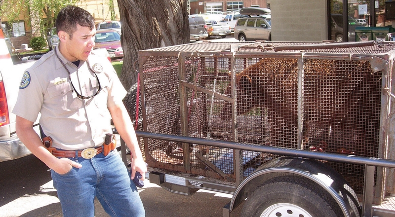 Q&A with a CPW district wildlife manager | PostIndependent.com