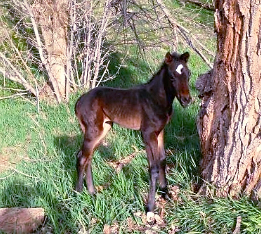 Citizen Telegram Community News Briefs – April 24, 2014 ...