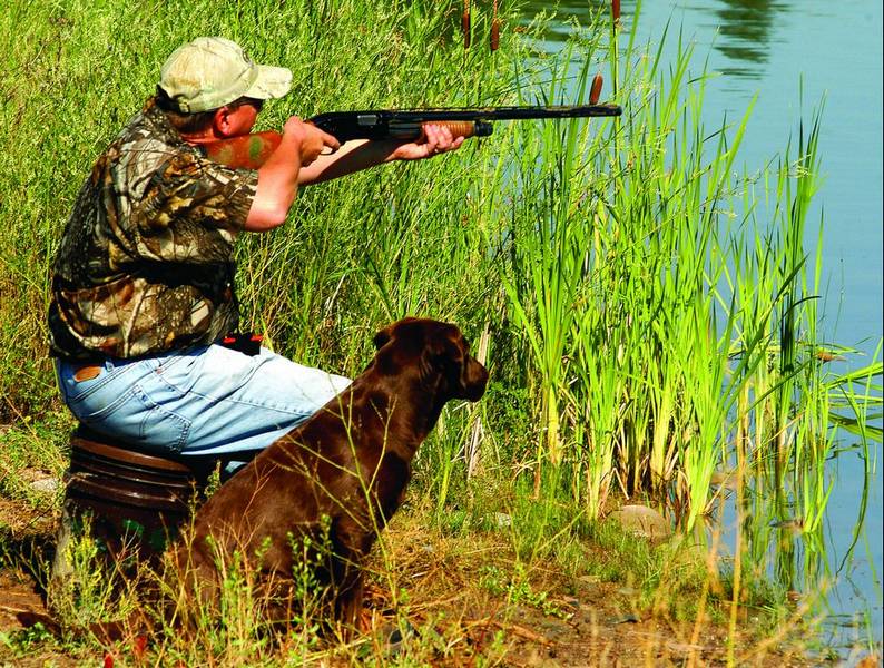 Life of a retriever – a come-back story | PostIndependent.com