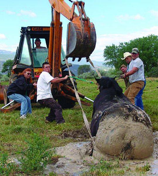 Luck be a lady | PostIndependent.com