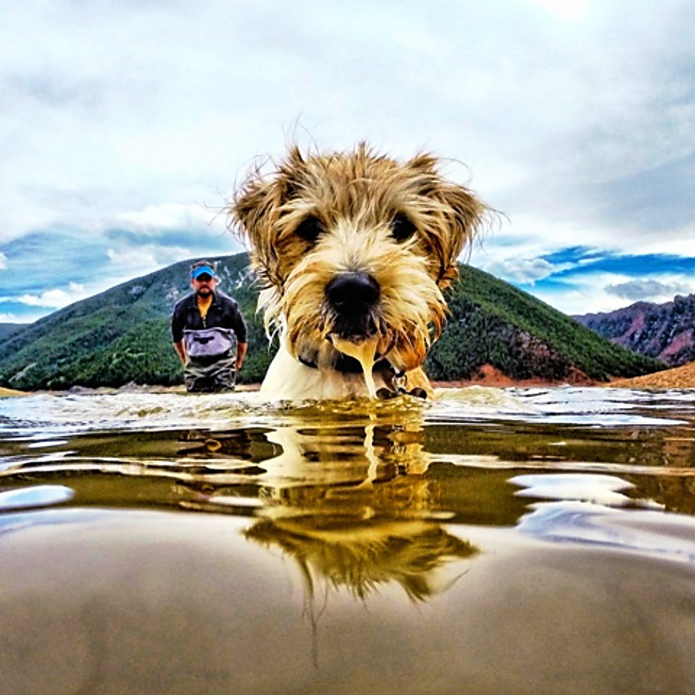 PI announces winners of its Summer Fun photo contest | PostIndependent.com