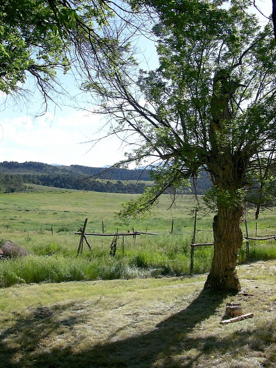 Wildlife officers favor Sutey Ranch winter closure | PostIndependent.com
