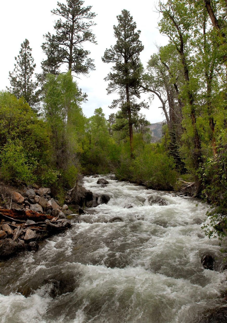 Colorado River runoff may have peaked near Glenwood Springs ...