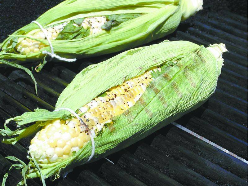 Colorado corn an all-American affair! | PostIndependent.com