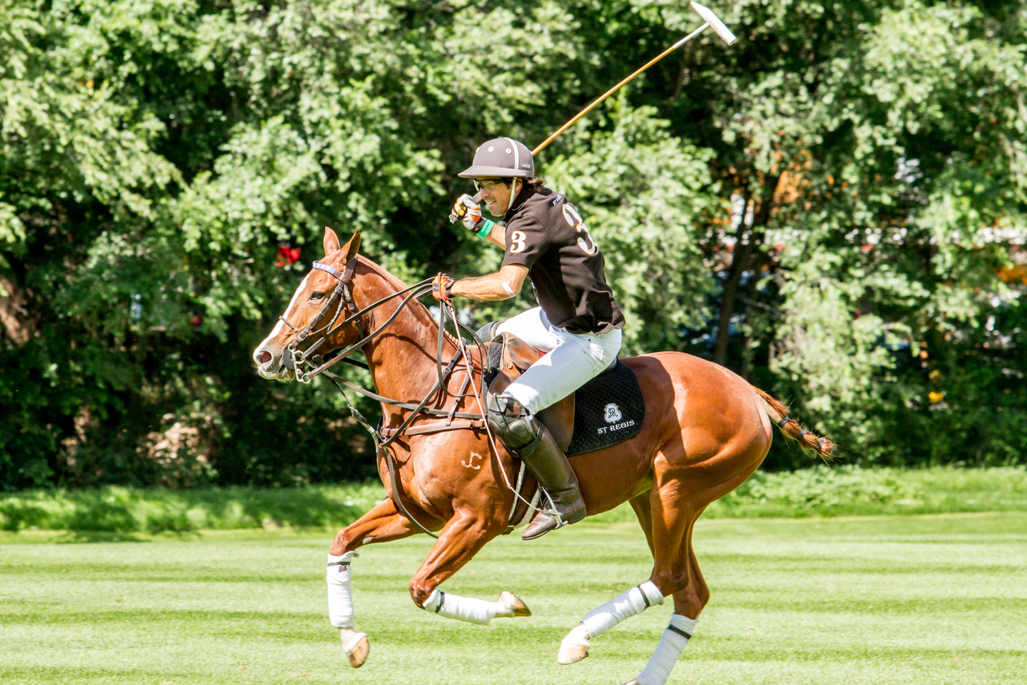 19th Annual Devereux Polo Cup set to thrill spectators at Stout Ranch ...