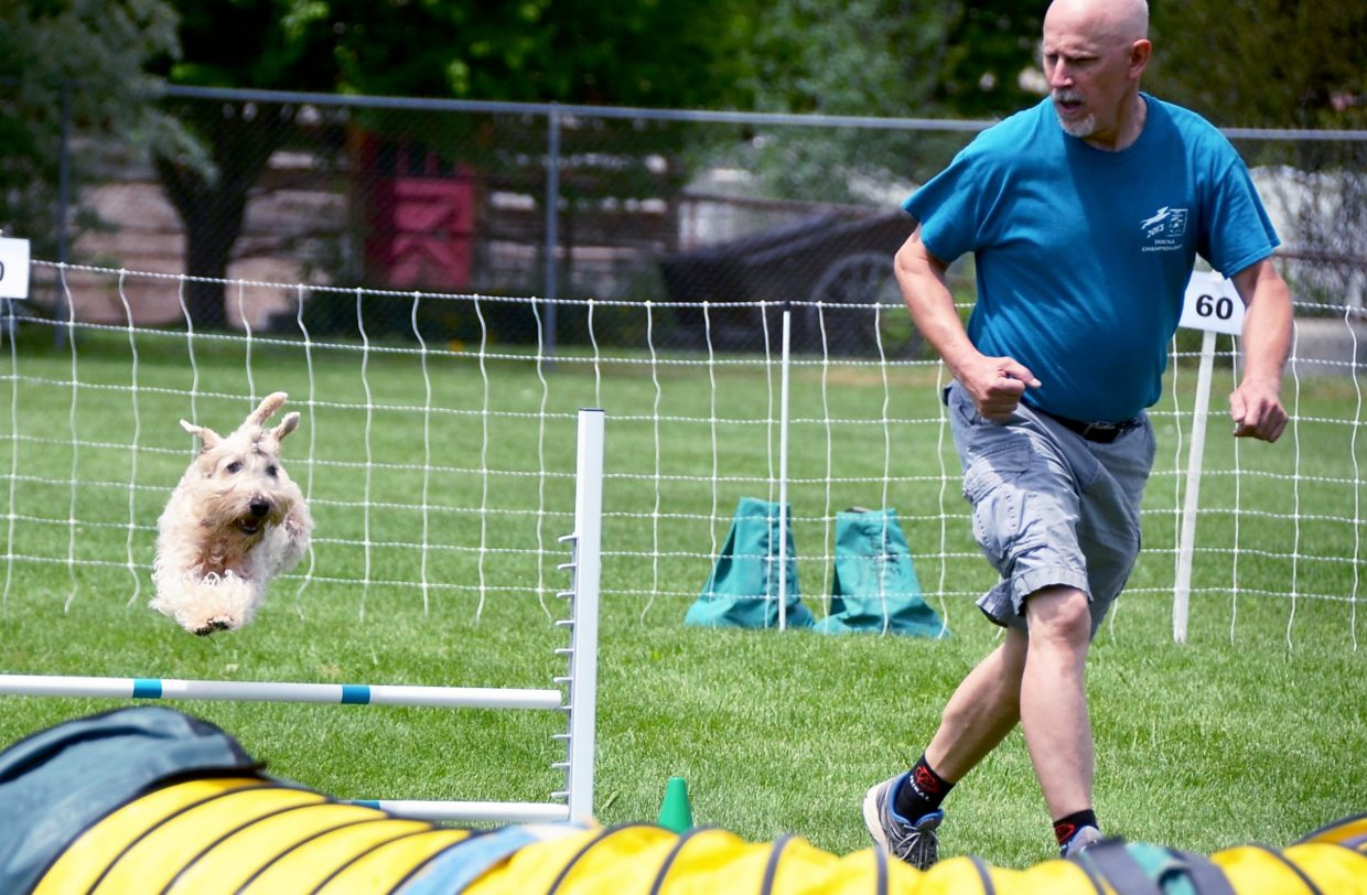 Shelter dogs learn new tricks for agility | PostIndependent.com