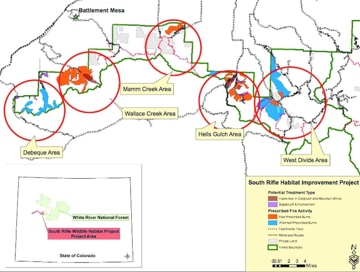 Forest Service project will improve big game habitat | PostIndependent.com