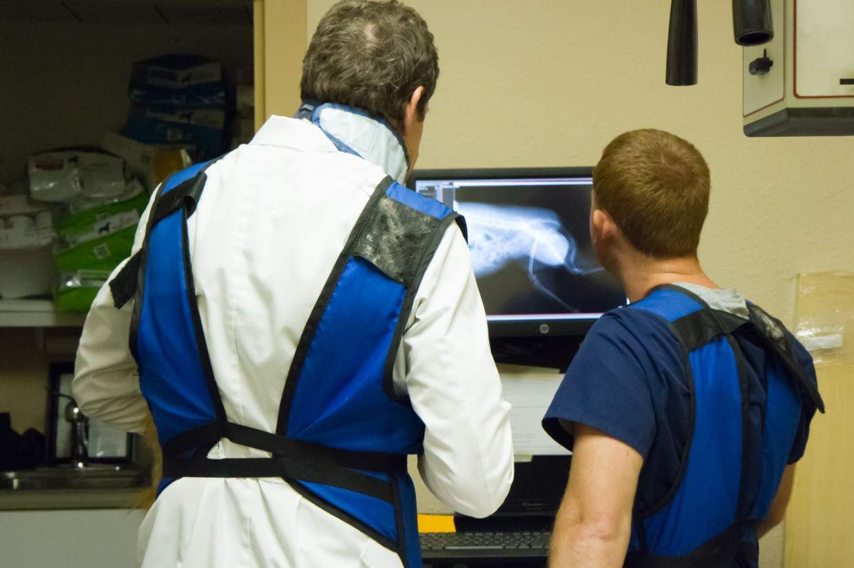 Selfies: A day with the veterinarians of All Dogs and Cats ...