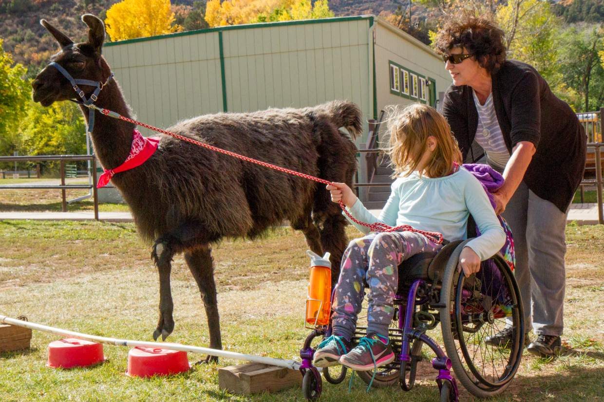 Feeding the Llamas | PostIndependent.com