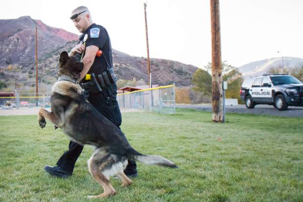 Ruling complicates use of pot-sniffing dogs | PostIndependent.com