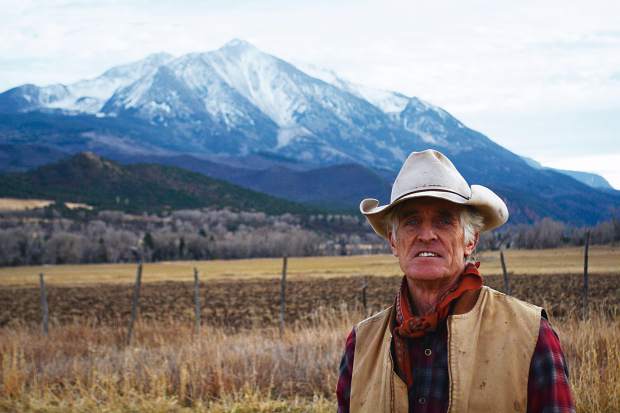 Rancher trying to help Crystal River flows runs into ‘bizarre ...