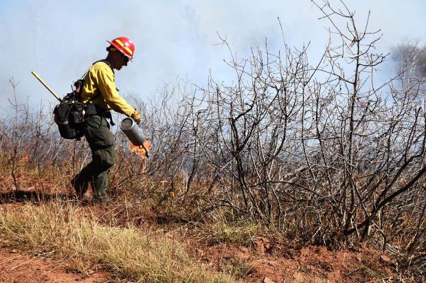 Prescribed burns in Upper CO to cover 10,000 acres this spring ...