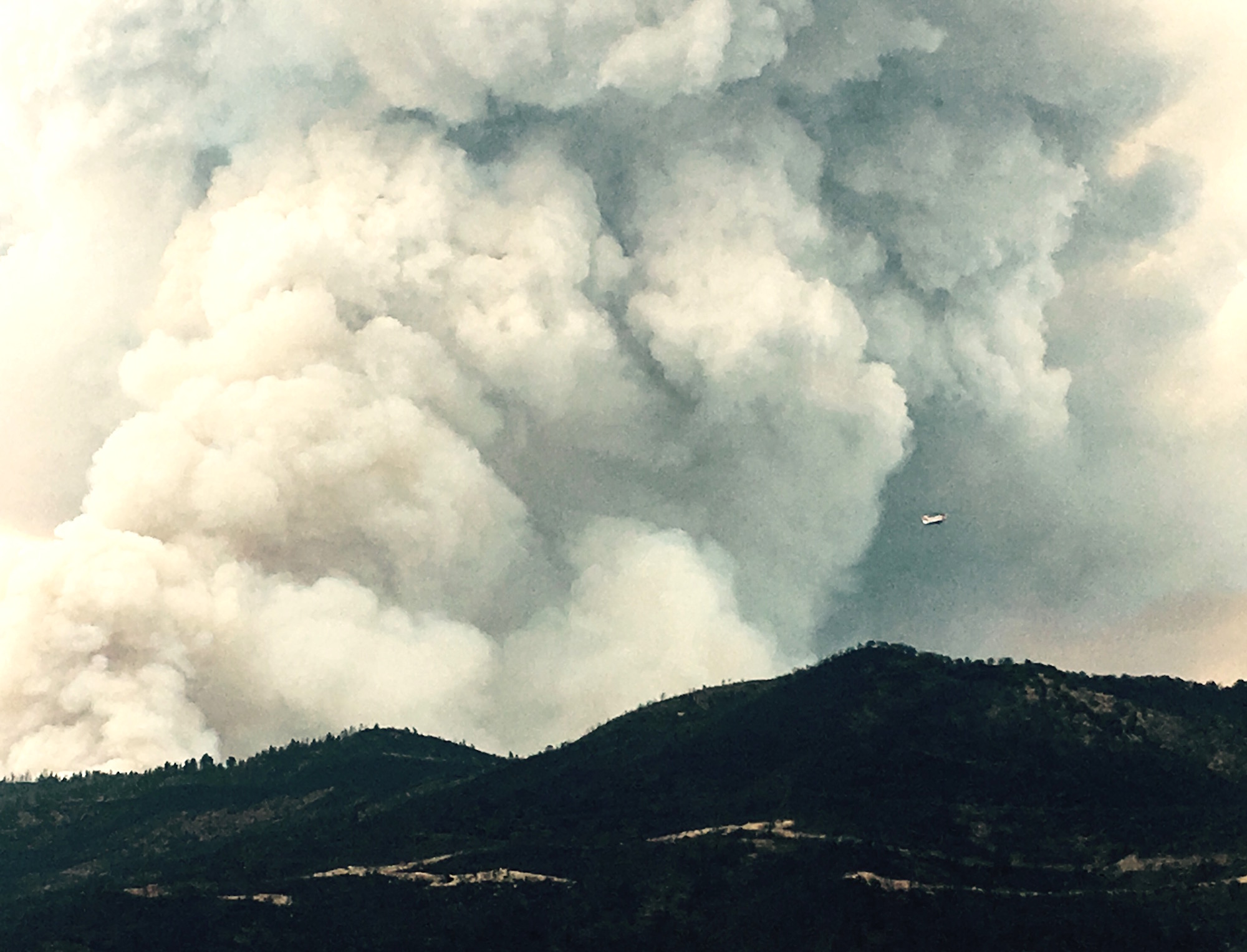 Lake Christine Fire tops 10,000 acres after burning through beetle-kill ...