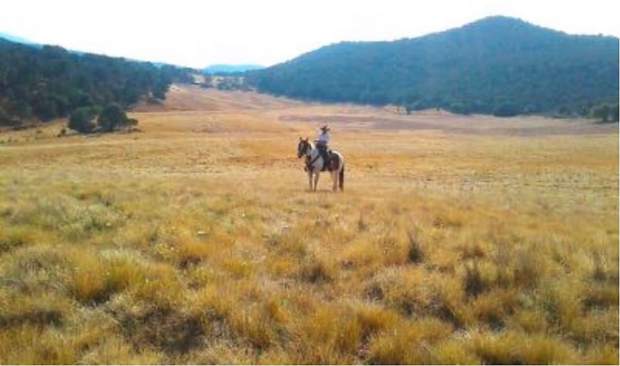 BLM’s Sutey Ranch plan limits recreational use seasonally ...