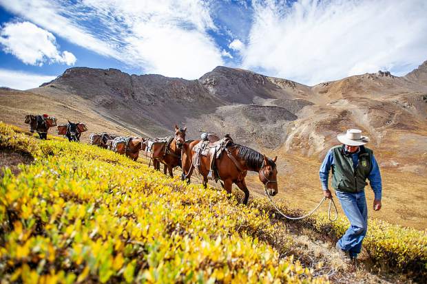 Pack string of mules, horses and prison inmates help clean up old rebar ...