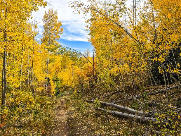 Photo: Patchwork of colors in Babbish Gulch | PostIndependent.com