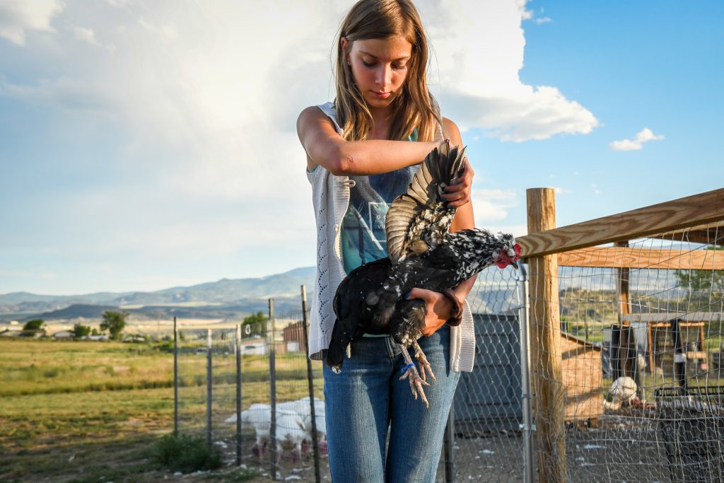 Photo story: Silt’s Hannah Barbata an all-around show lady at Garfield ...