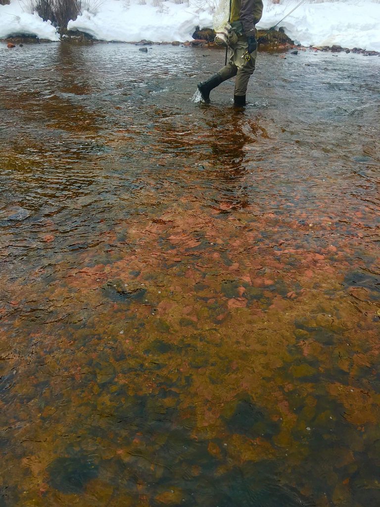 On the Fly column: Seeing redd in autumn | PostIndependent.com