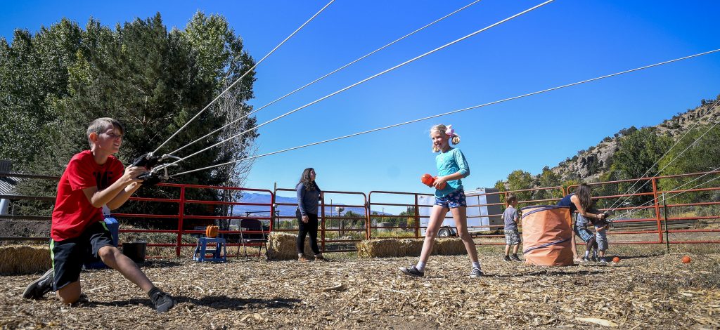 ‘10,000-plus pumpkins’: New Castle Gardens continues fall tradition ...